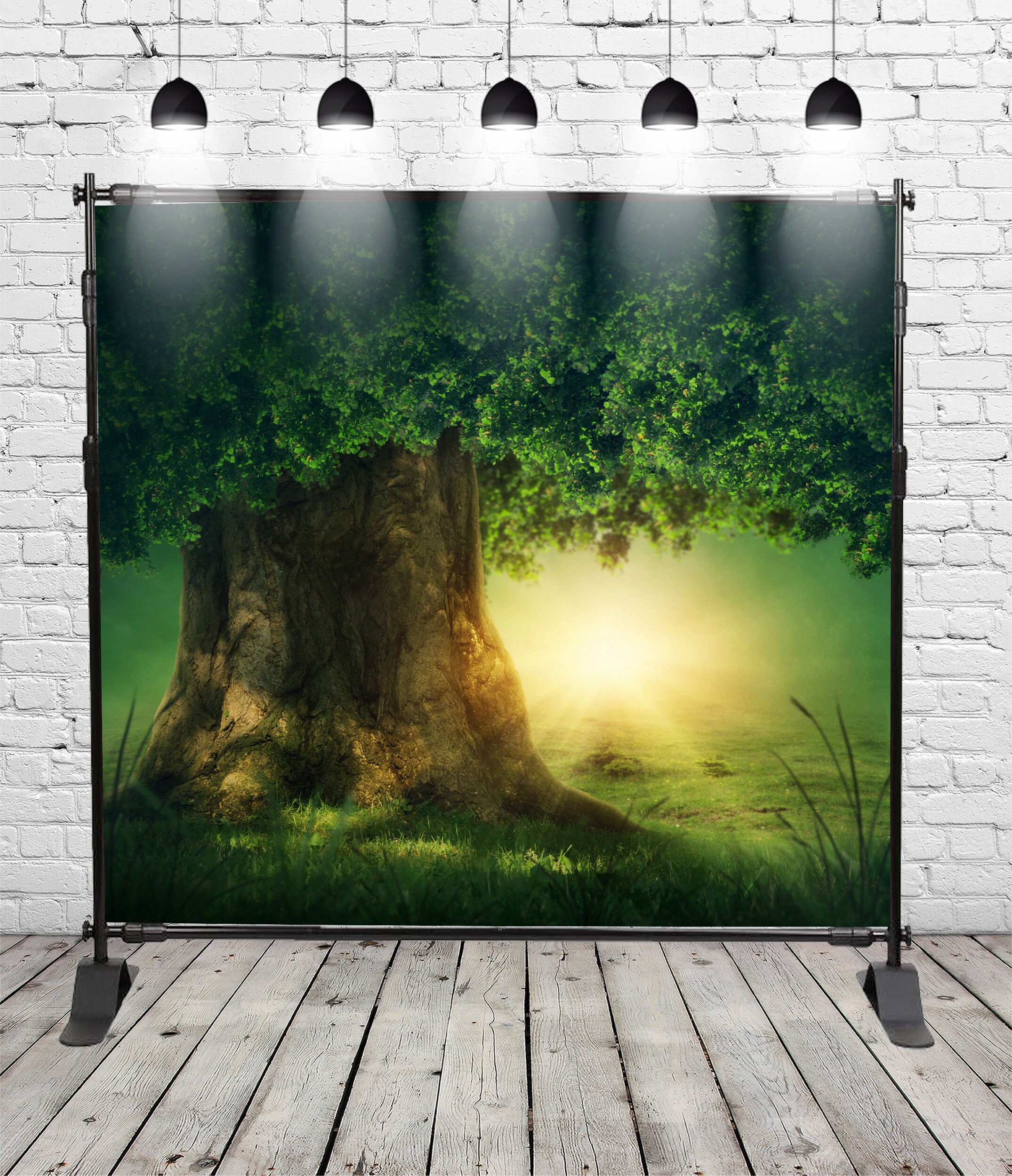 Cartoon Fairytale Forest Tree Sunlight Photo Backdrops Newborn Baby ...