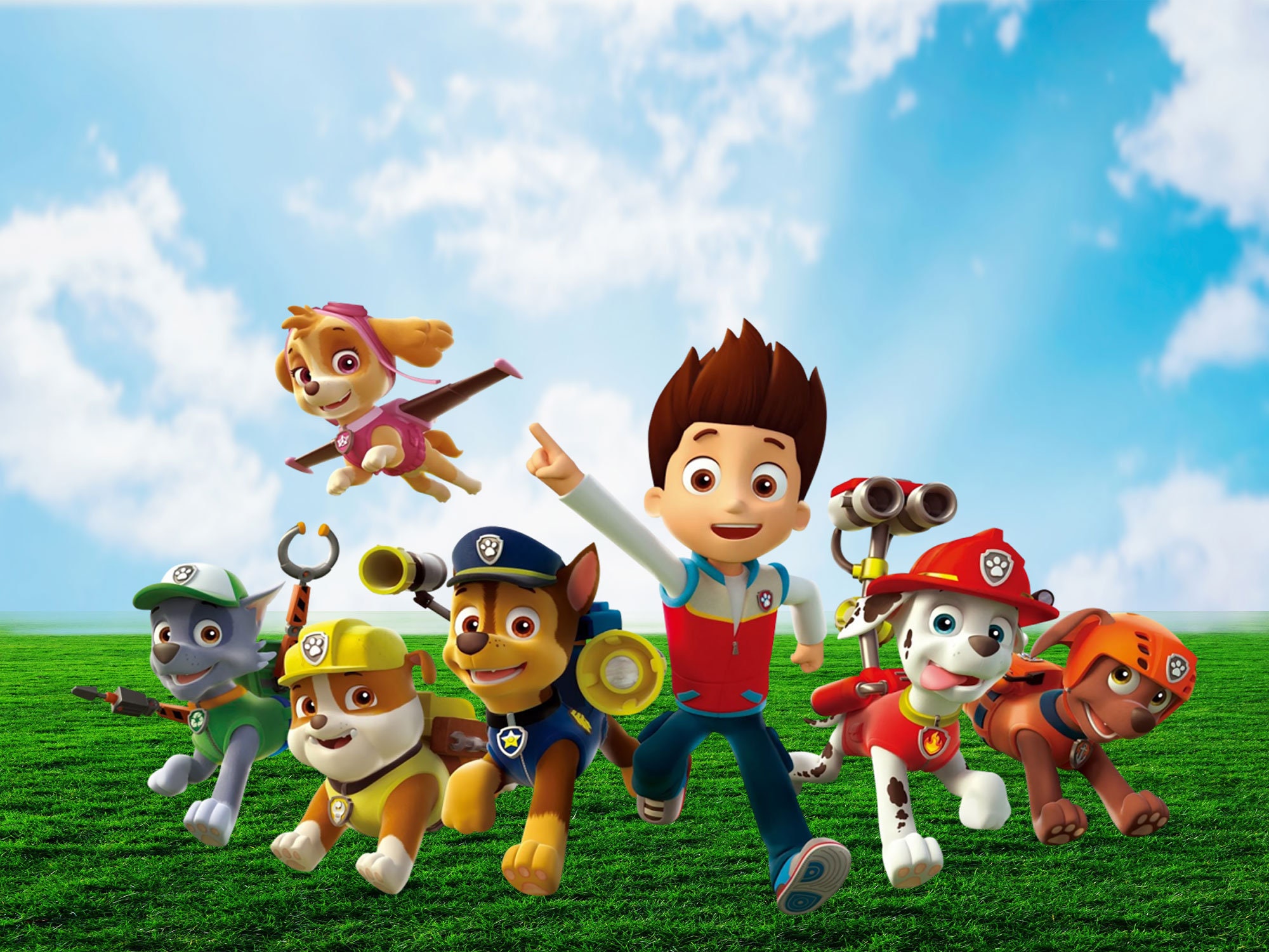 Paw Patrol Birthday Banner Decoración Fondos fotográficos | Etsy España