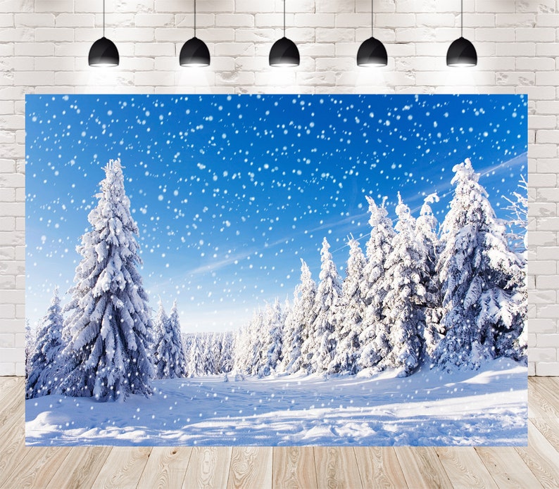 Winter Landscape Sunny Wedding Photo Backdrops Booth - Etsy