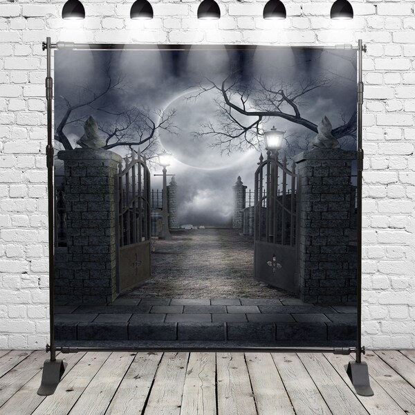 Moon Backdrops for Photos - Etsy