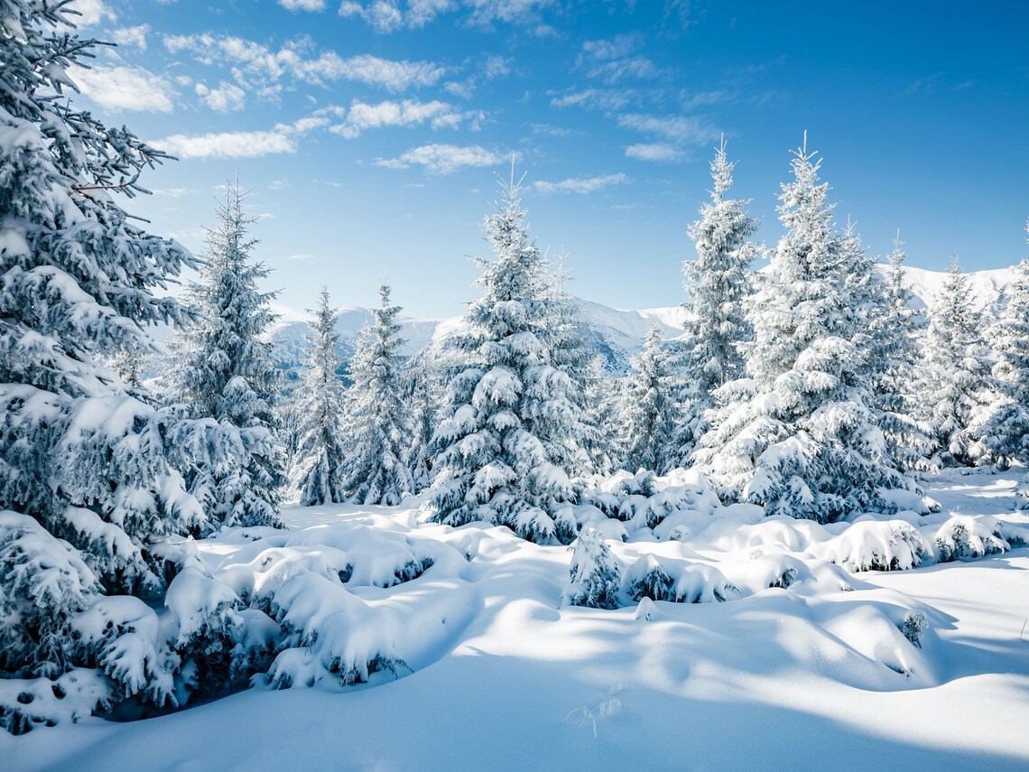Winter Snow Mountain Tree Photography Backdrop, Wedding Photo Booth - Etsy