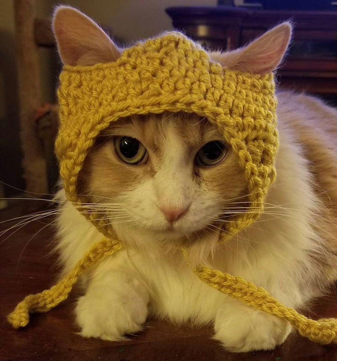 PATTERN Crochet Cat Hat and Beanie Pattern - Etsy