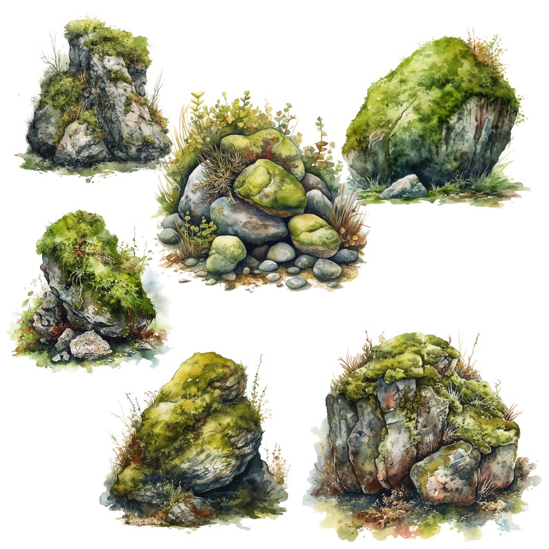 Watercolour Moss Clipart - Mossy Rocks and Stones Botanical PNG Format ...
