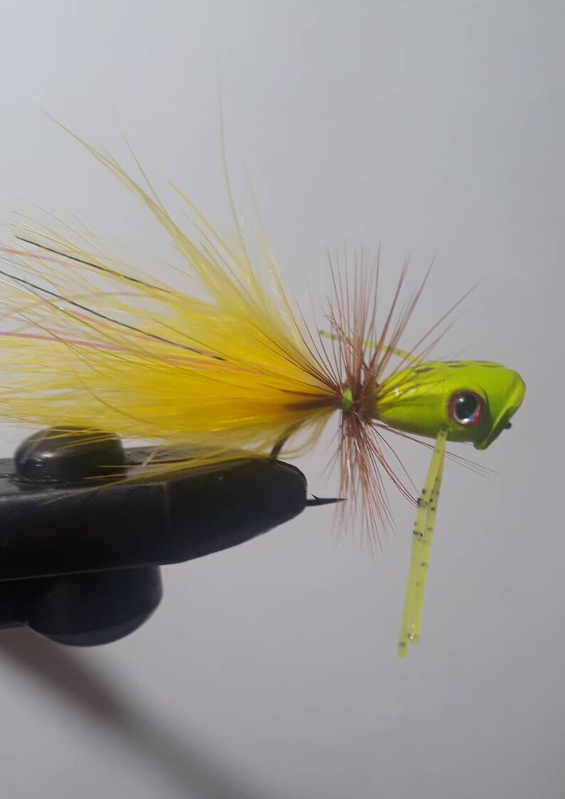 6 Pack Bass Poppers - Etsy