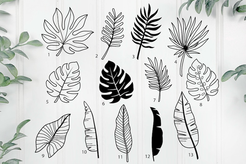 Jungle Leaves Tropical Svg Bundle Leaf Svg Leaves Svg Palm - Etsy