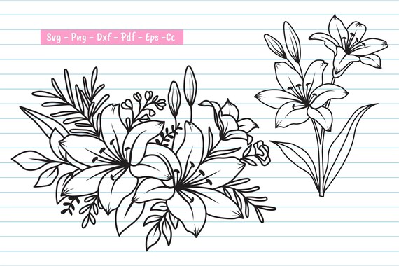 Lily Flower Svg Lily Svg Bundle Lily Svg Hand Drawn Lily | Etsy Hong Kong
