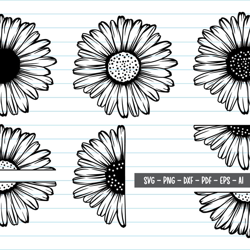 Daisy Svg - Etsy