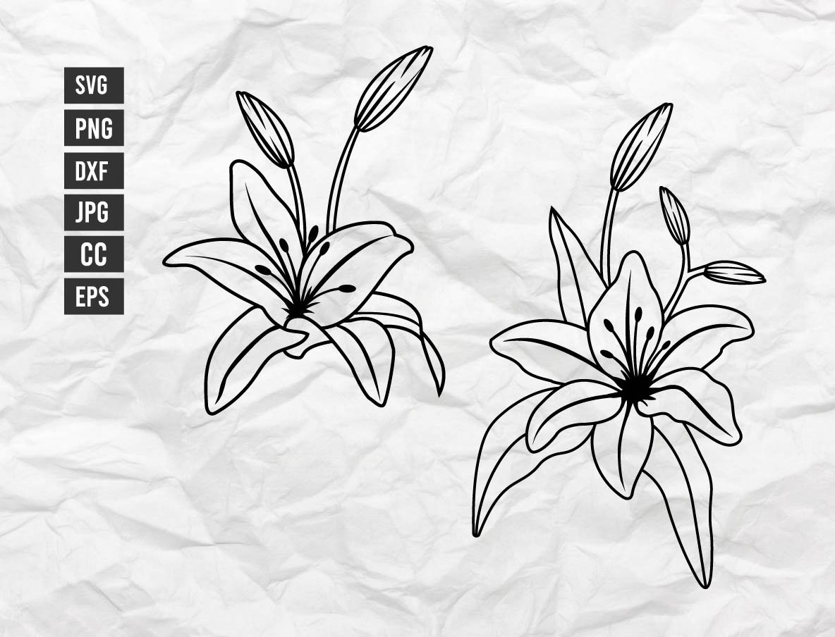 Lily Flower Svg Flower Bouquet Svg Flower Svg Flower Bundle | Etsy