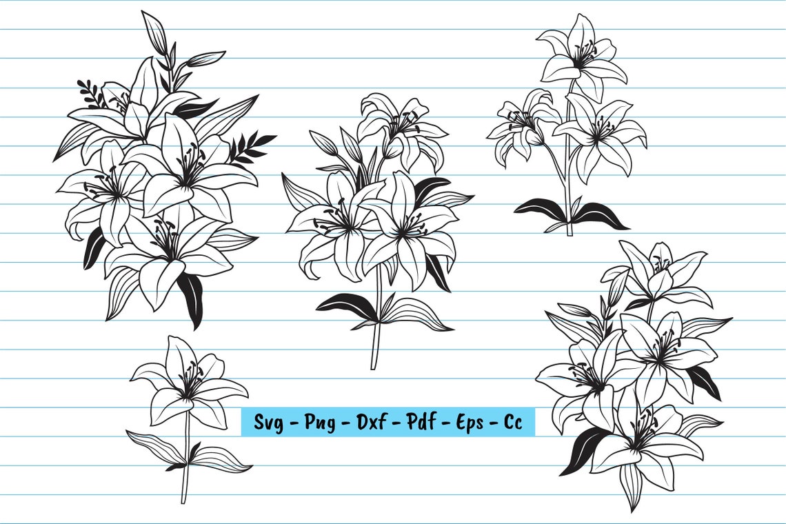 Flower Svg Bundle Lily Svg Lily Bundle Svg Flower Svg - Etsy
