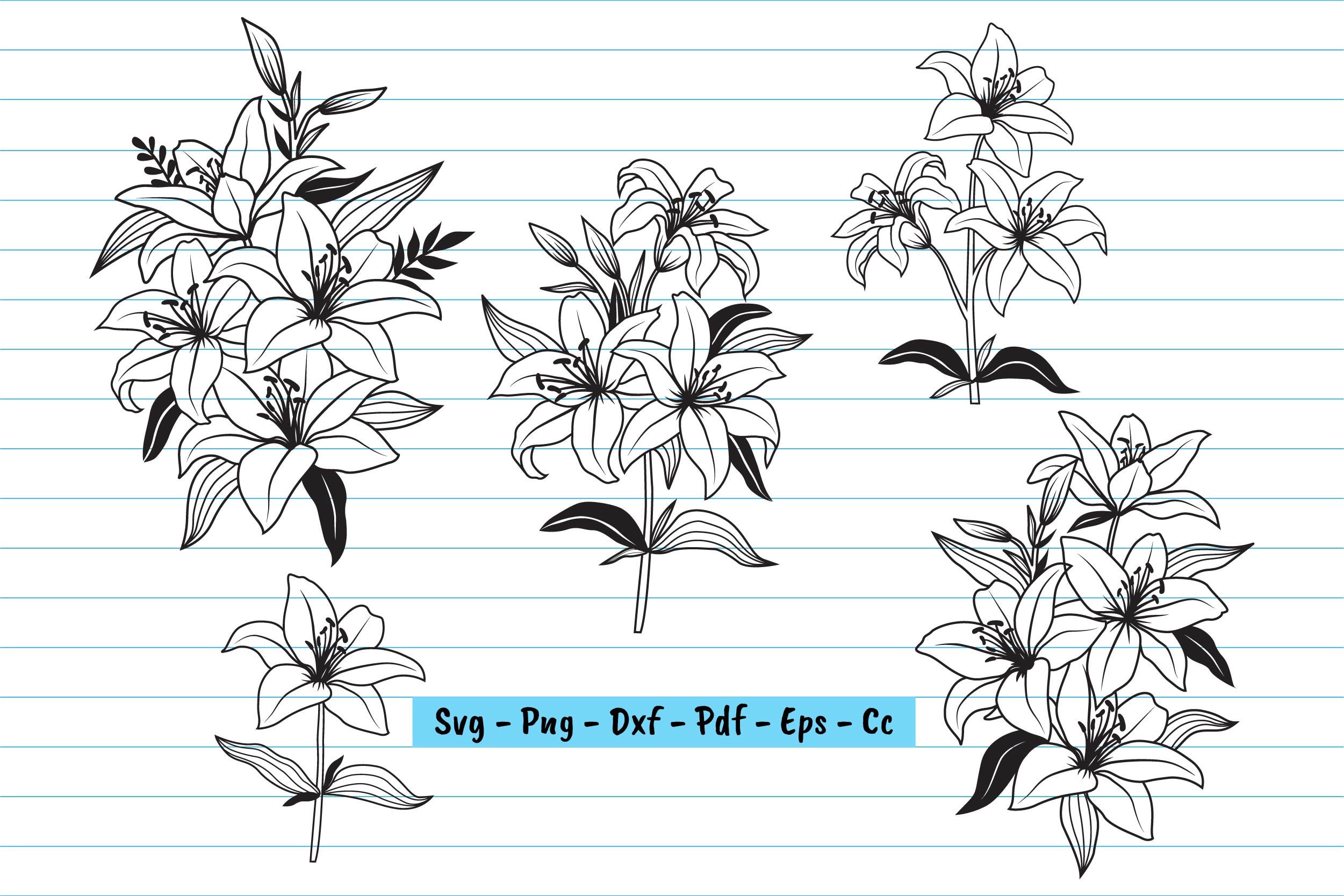 Flower Svg Bundle Lily Svg Lily Bundle Svg Flower Svg - Etsy