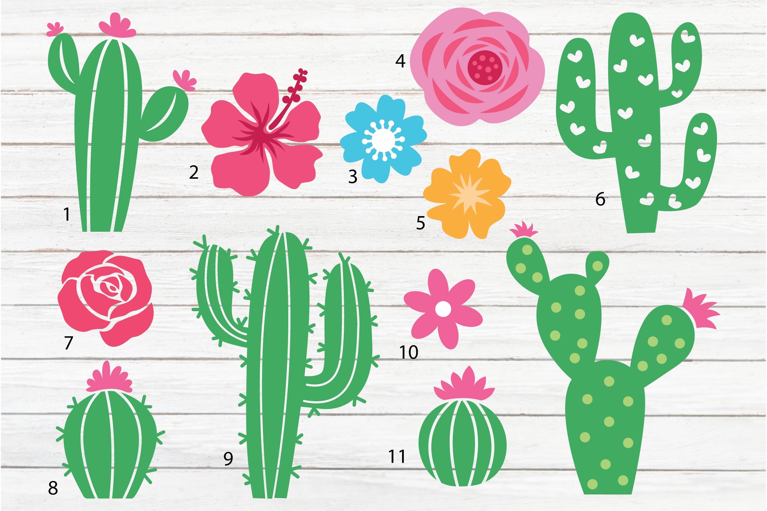 Cactus Svg Flower Svg Cactus Svg Bundle Succulent Svg - Etsy
