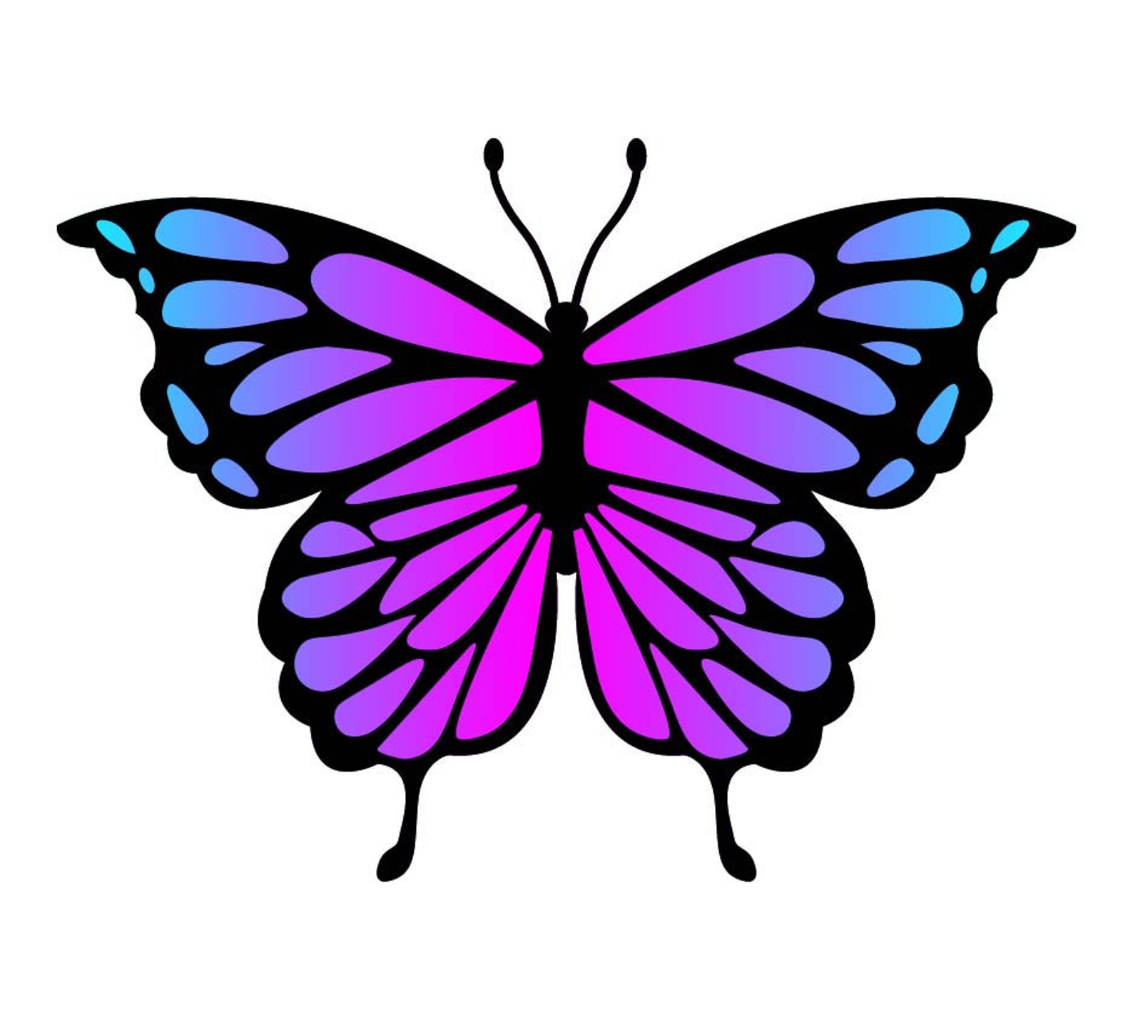 Butterfly Svg Files Butterfly Svg Butterfly Split Monogram - Etsy