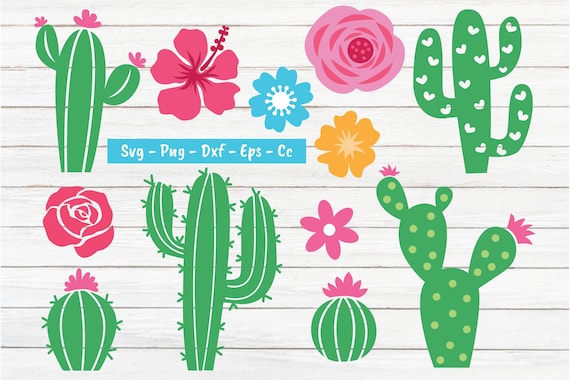 Cactus Svg Flower Svg Cactus Svg Bundle Succulent Svg | Etsy Canada