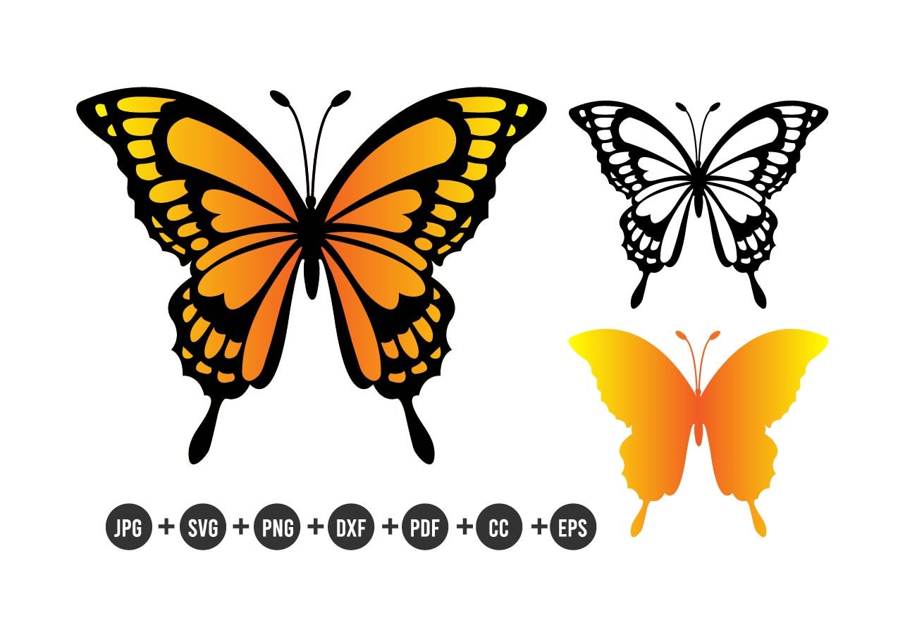 Butterfly Svg Butterfly Svg File Layered Butterfly Svg - Etsy New Zealand