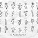Flower Svg, Flower Element Svg, Hand Drawn Flower Botanical and Leaf ...