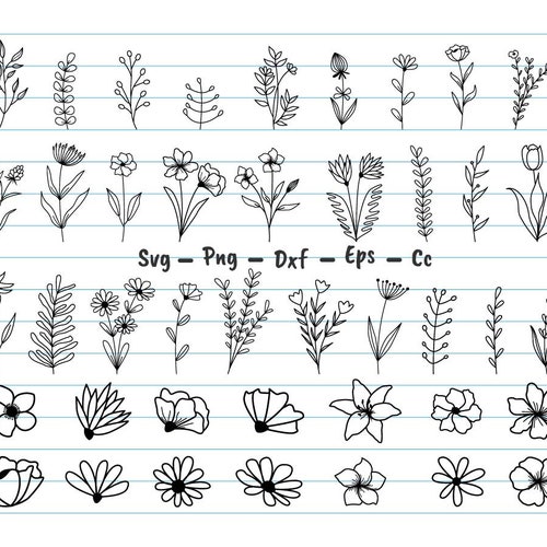 Flower Svg Flower Element Svg Hand Drawn Flower Botanical - Etsy