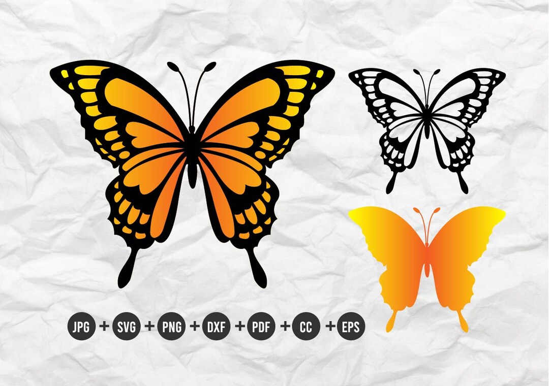 Butterfly Svg, Butterfly Svg File, Layered Butterfly Svg, Butterfly ...