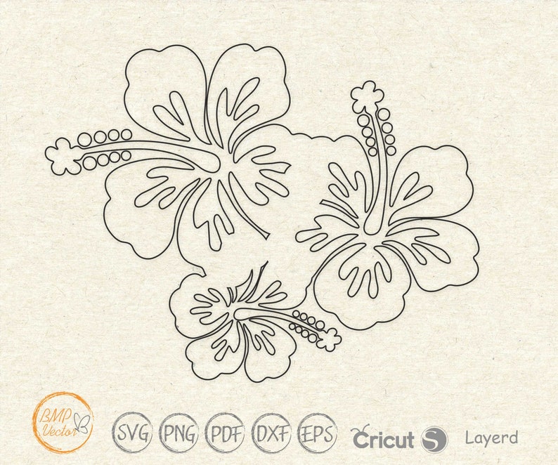 Hibiscus Svg Hibiscus Flowers Clip Art Hawaiian Flower Svg Etsy