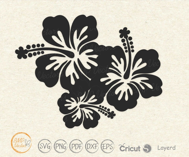 Hibiscus Svg Hibiscus Flowers Clip Art Hawaiian Flower Svg Etsy
