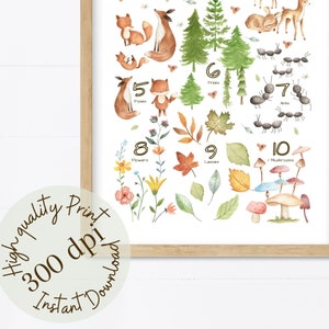 Woodland Alphabet Poster for Woodland Nursery. Available as a Set of 2 ...
