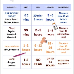 Insulin Cheat Sheet - PDF Download - Etsy
