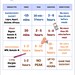Insulin Cheat Sheet - PDF Download - Etsy