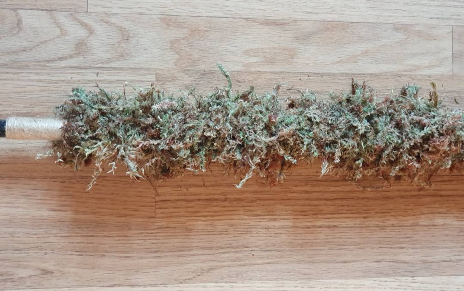 Moss Poles for Plant Support Fresh Welsh Sphagnum Moss Poles | Etsy