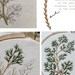 Embroidery Kit: Juniper, DIY Kit for Beginner or Intermediate Skill ...