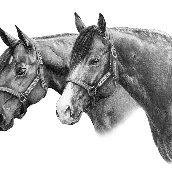 Horse Drawing - Etsy