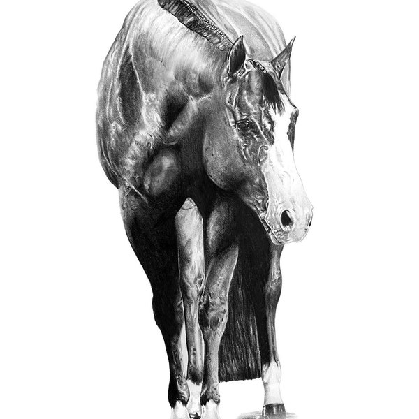 Horse Drawing - Etsy