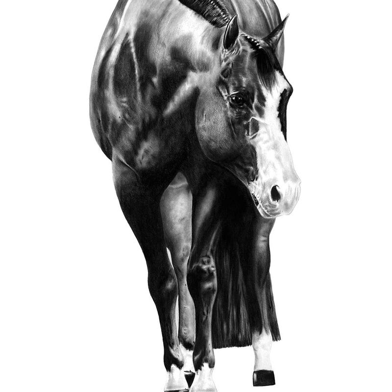 Horse Drawing - Etsy
