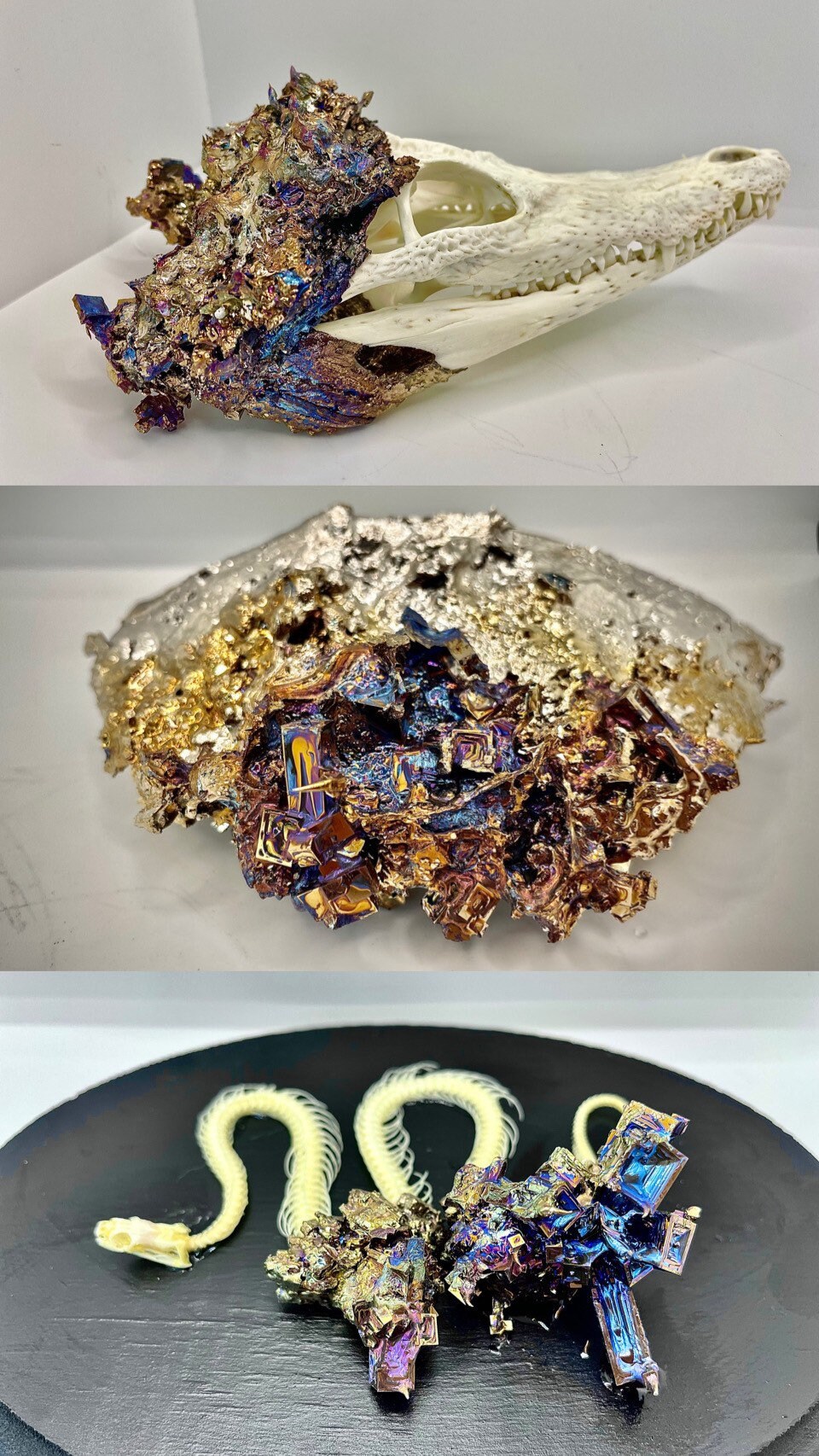 Bismuth Crystal Turtle Shell - Etsy