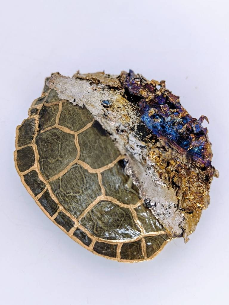 Bismuth Crystal Turtle Shell Etsy