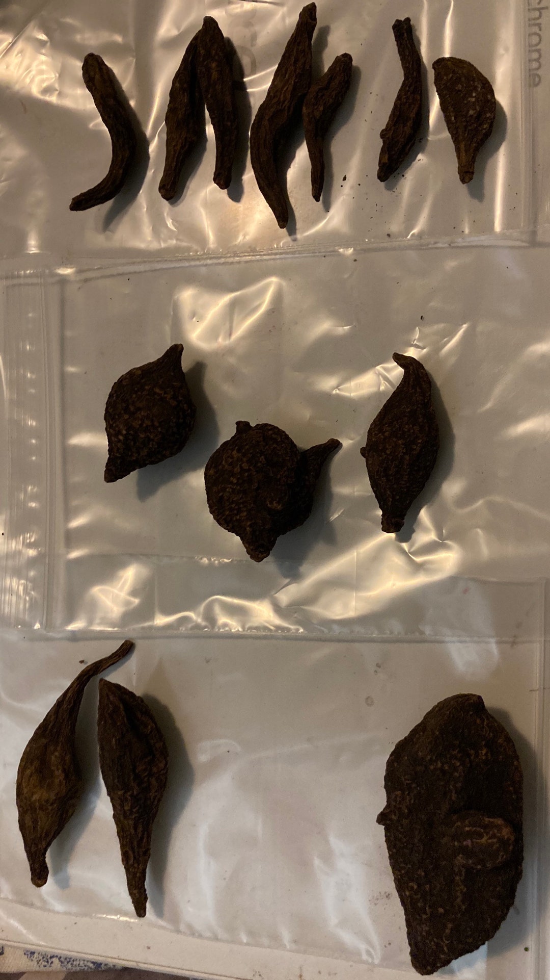 John the Conqueror Root High John Conqueror Root Small John - Etsy