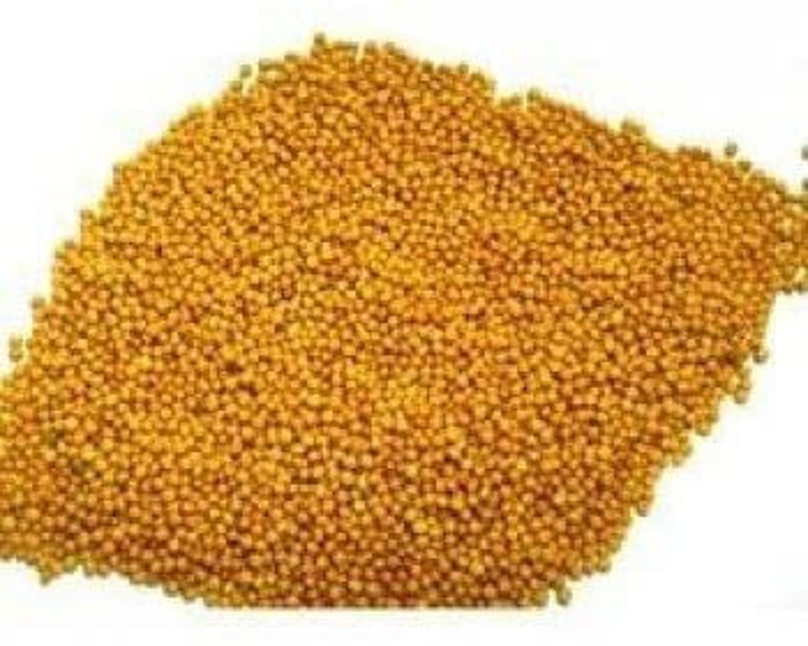 Rai Yellow Mustard 200 Gram | Etsy