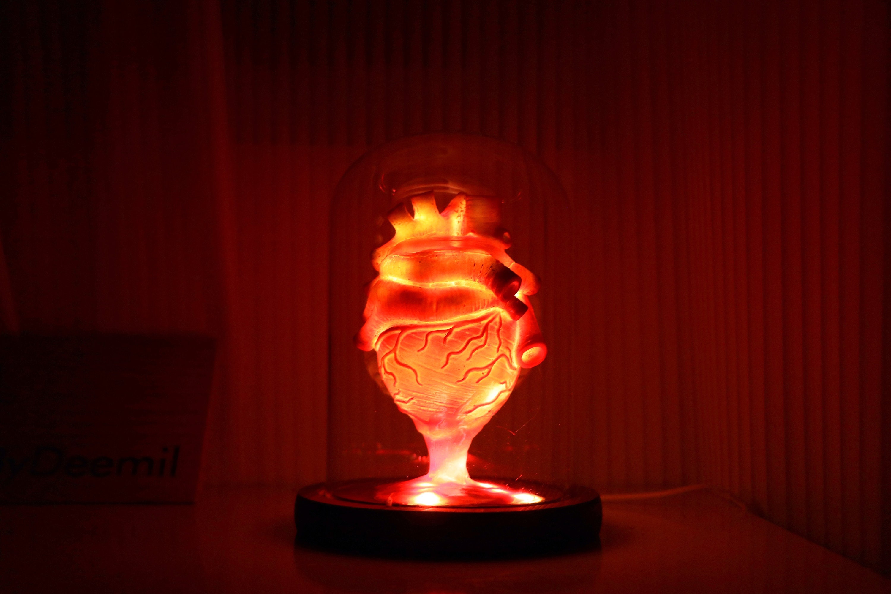 Human Heart Heart Human Organs Body Art Creative Heart Lights - Etsy