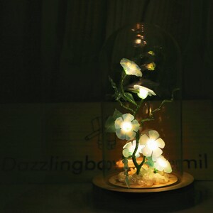 Personality Retro Morning Glory Glass Container Night Light Handmade ...
