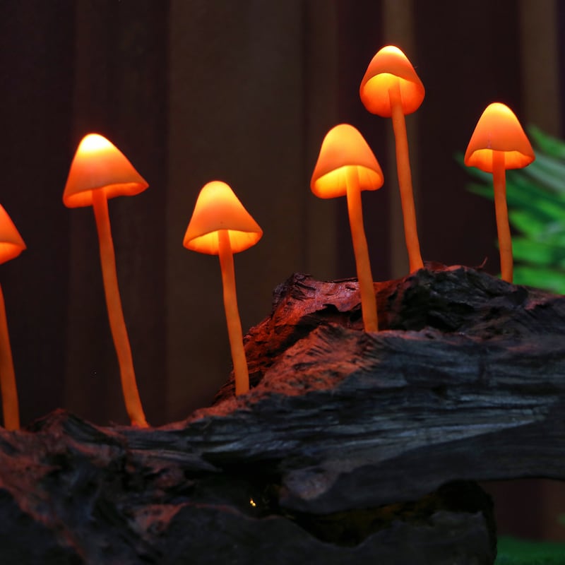 Glowing Mushroom Lights - Etsy