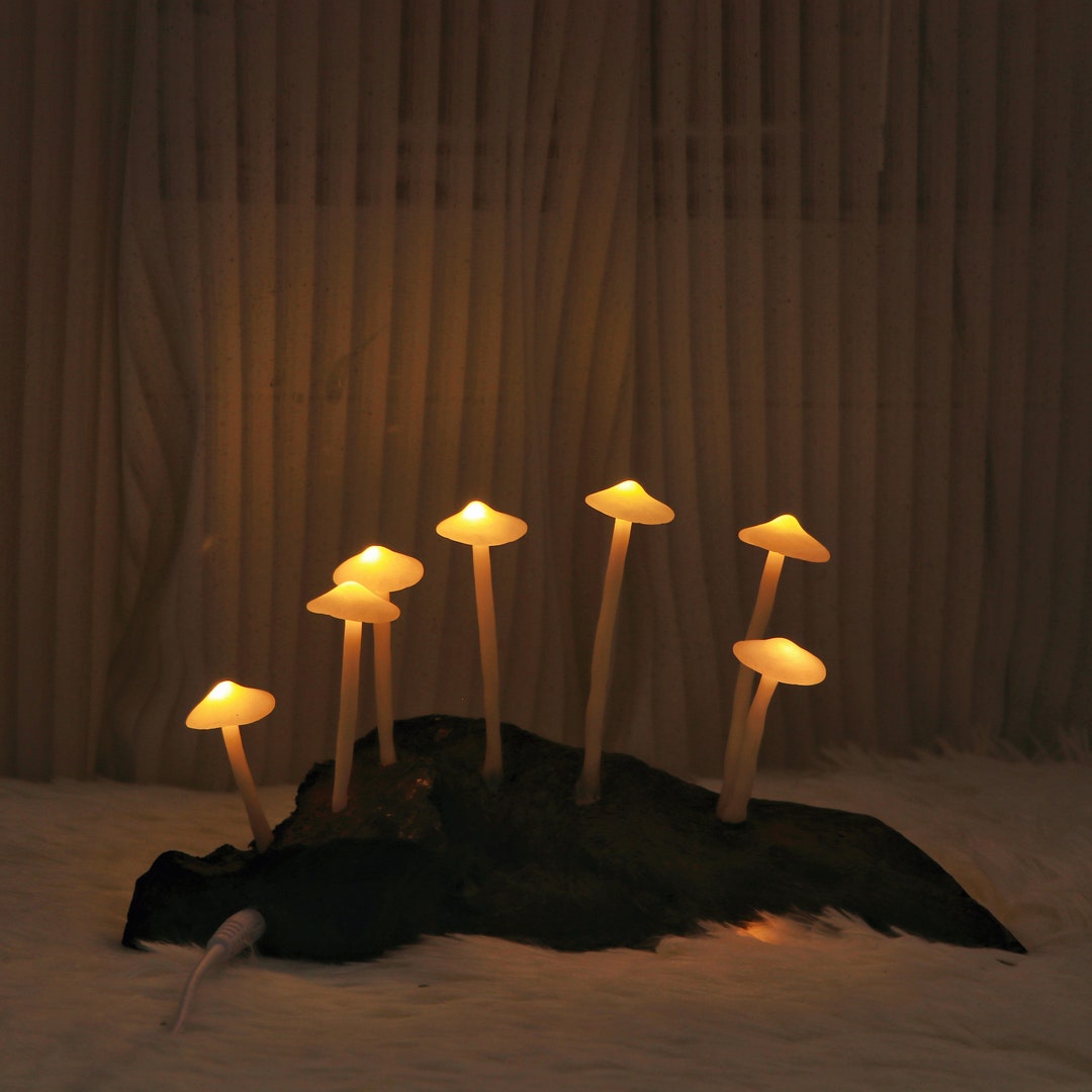 Glowing Mushrooms, Mushroom Lamps, Mushrooms Growing on Rotten Wood ...