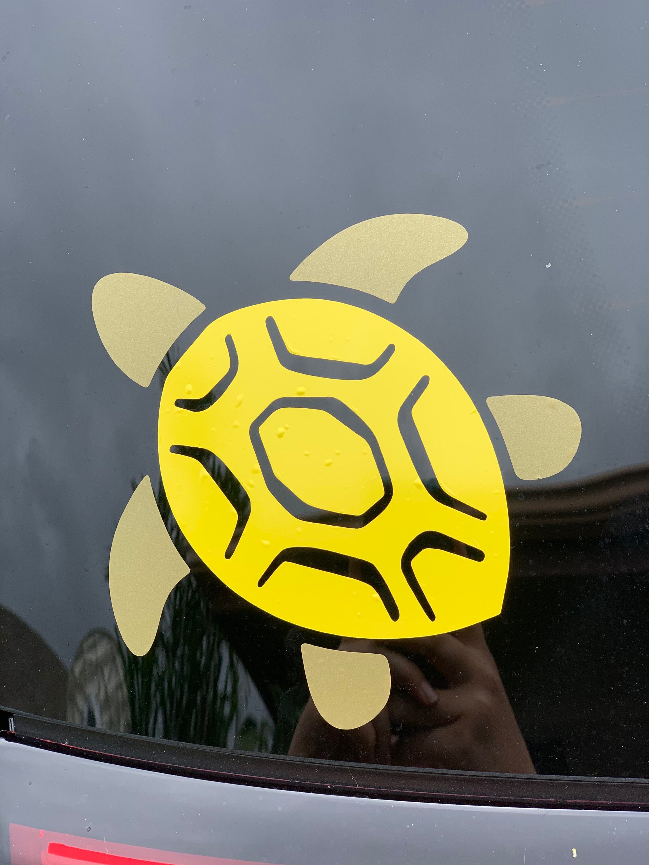 Turtle Car Decal - Etsy