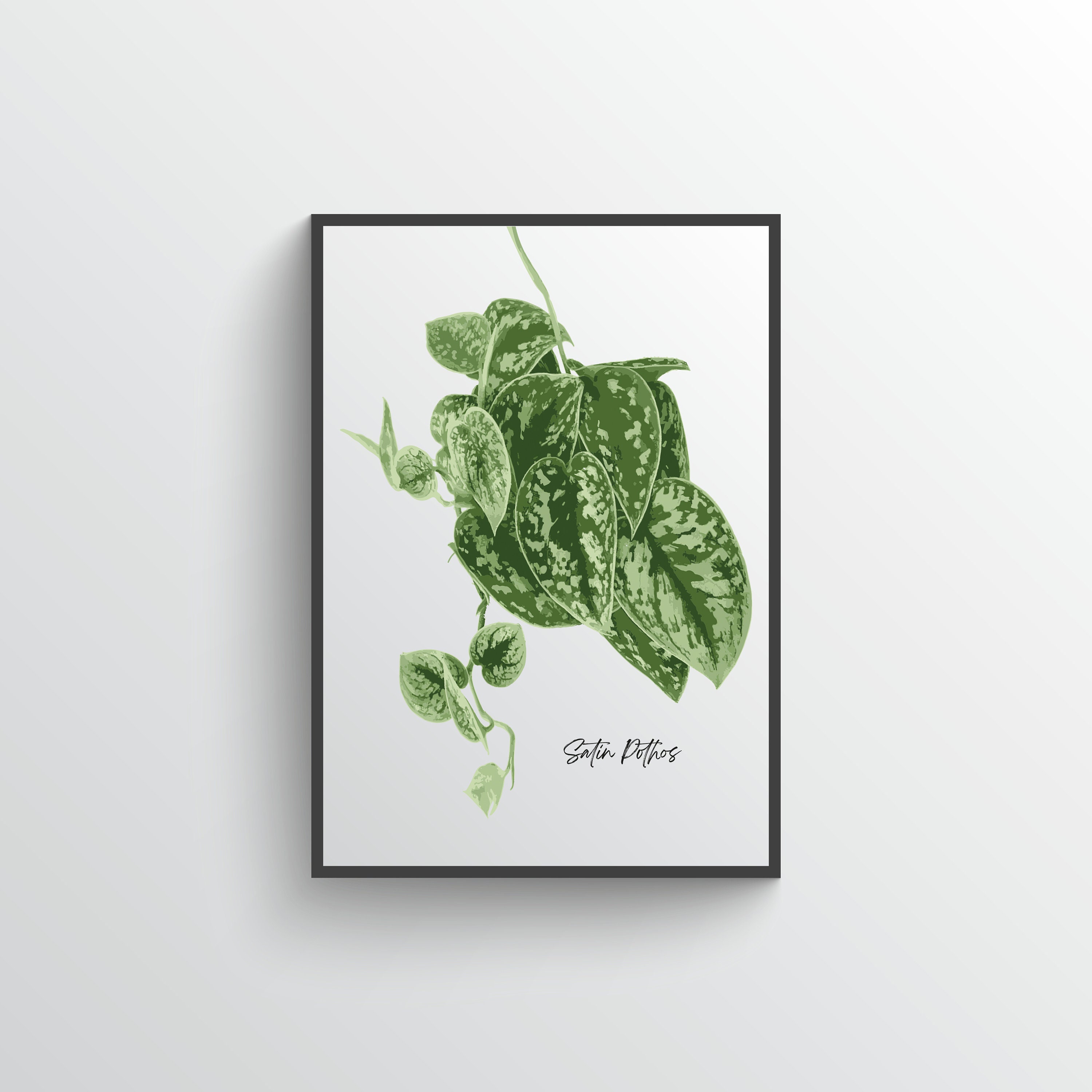 Pothos Botanical Leaf Print, Houseplant Poster, Satin Pothos, Green ...