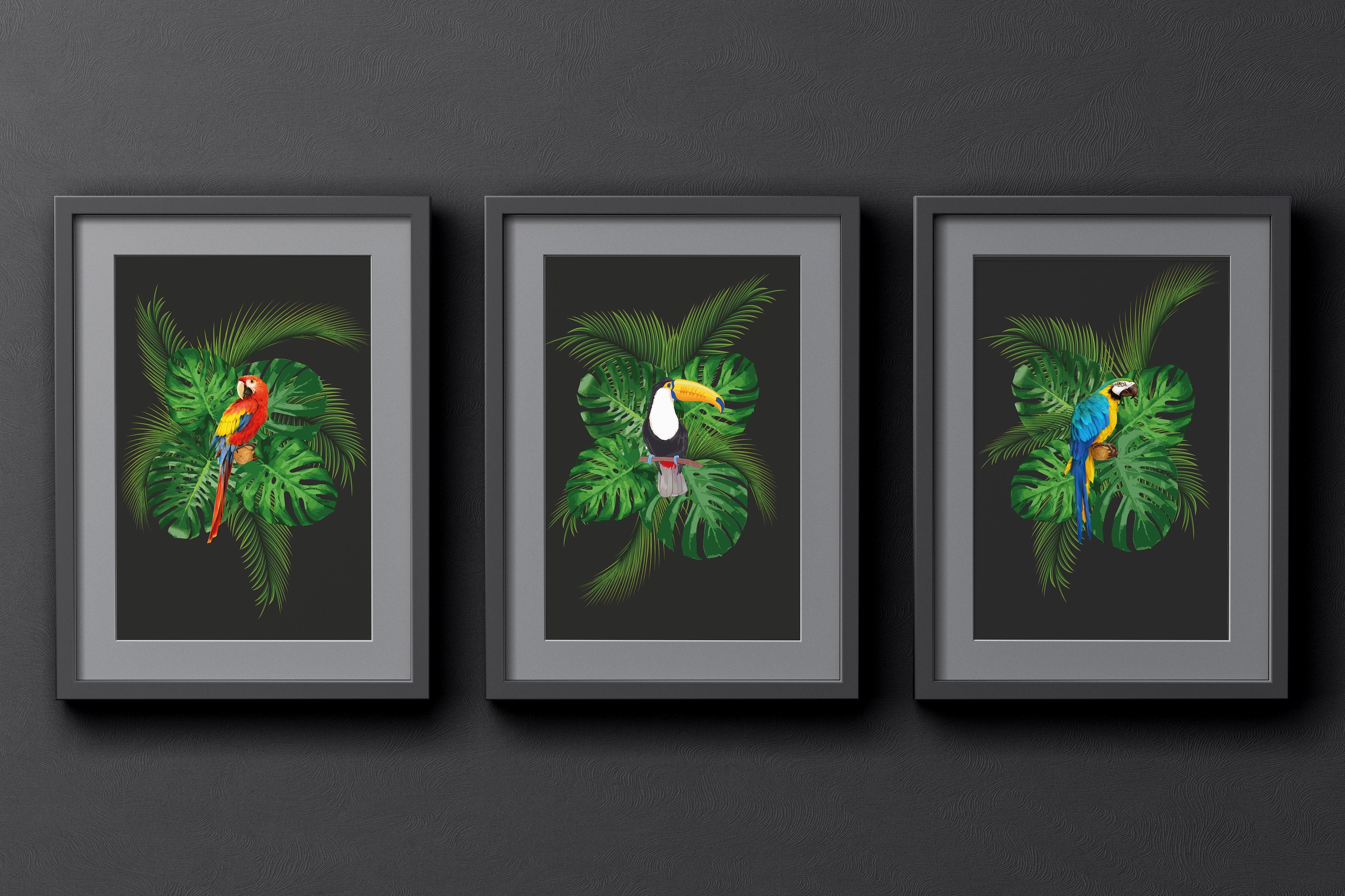 Set of 3 Tropical Bird Prints Bright Jungle Art Botanical - Etsy