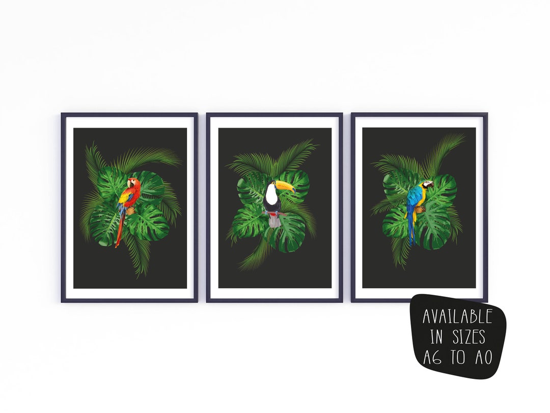 Set of 3 Tropical Bird Prints, Bright Jungle Art, Botanical Bird Art ...