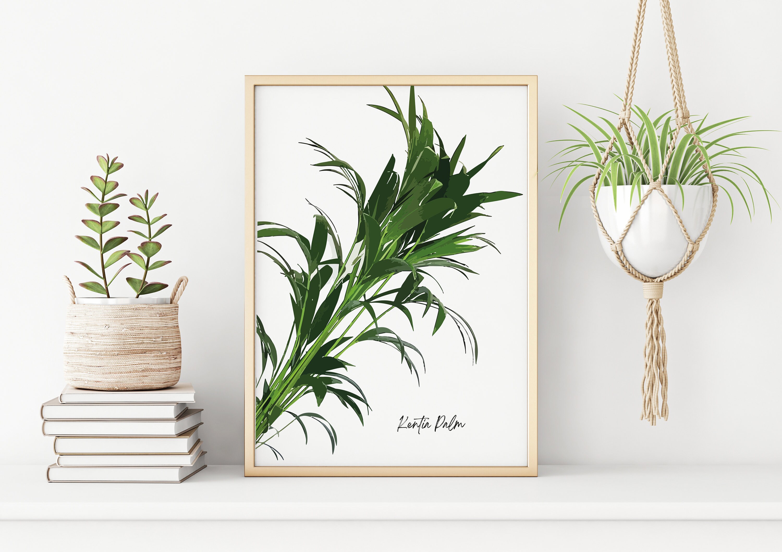 Set of 3 Green Botanical Prints, Original Houseplant Illustrations ...