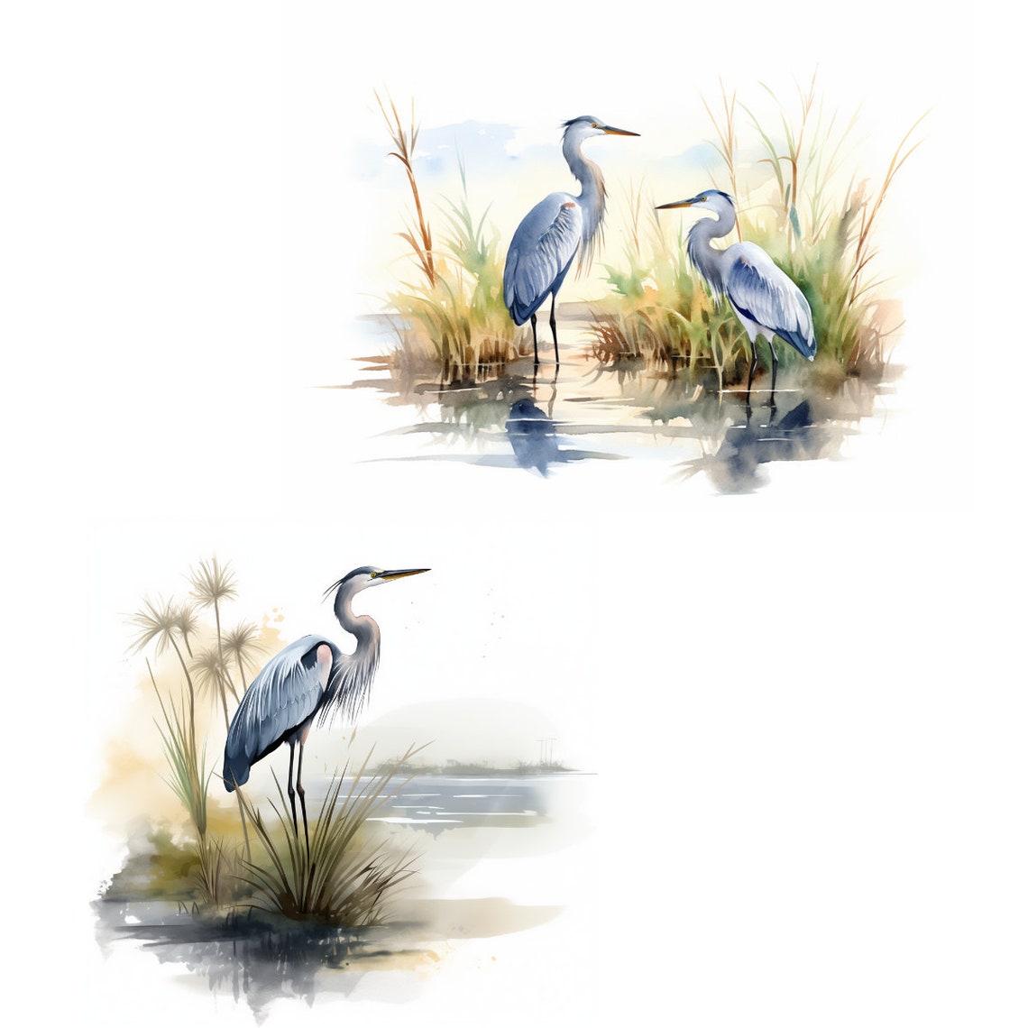 Wading Birds Watercolor Clipart - Watercolor Clipart - Marsh ...