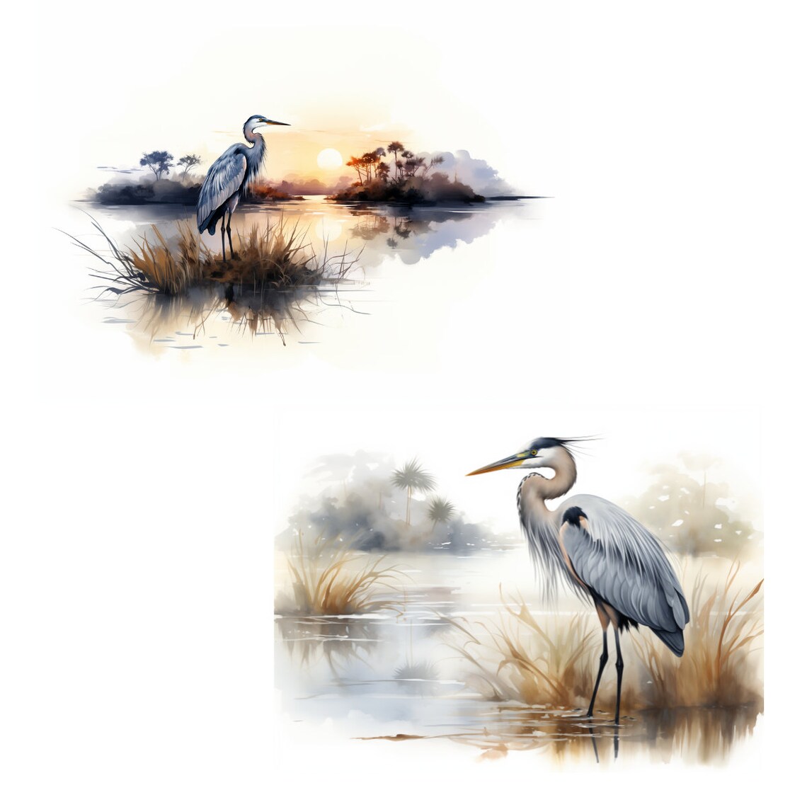 Wading Birds Watercolor Clipart - Watercolor Clipart - Marsh ...
