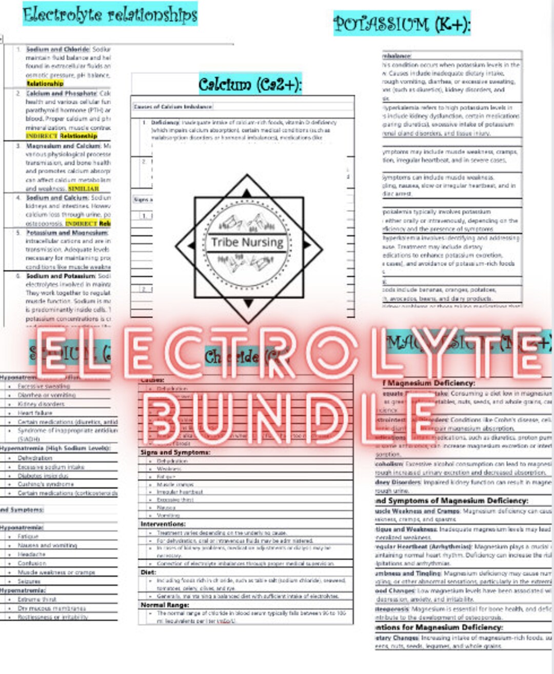 ELECTROLYTE BUNDLE (study Sheets) - Etsy