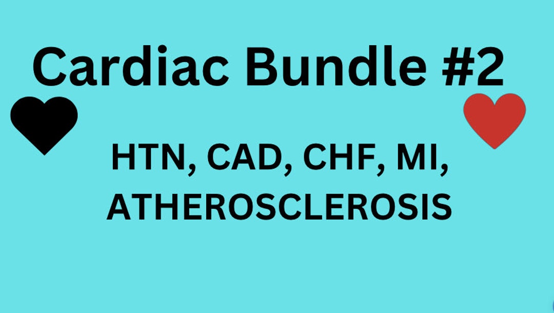 Cardiac Bundle - Etsy
