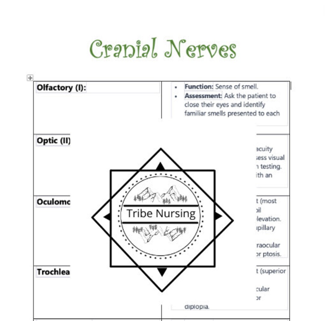 Cranial Nerves (nursing Study Sheets) - Etsy