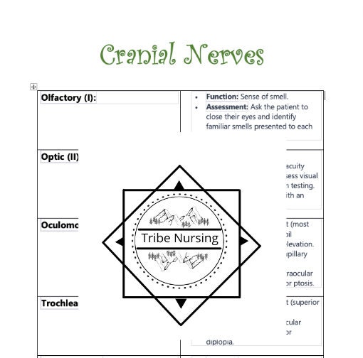 Cranial Nerves (nursing Study Sheets) - Etsy